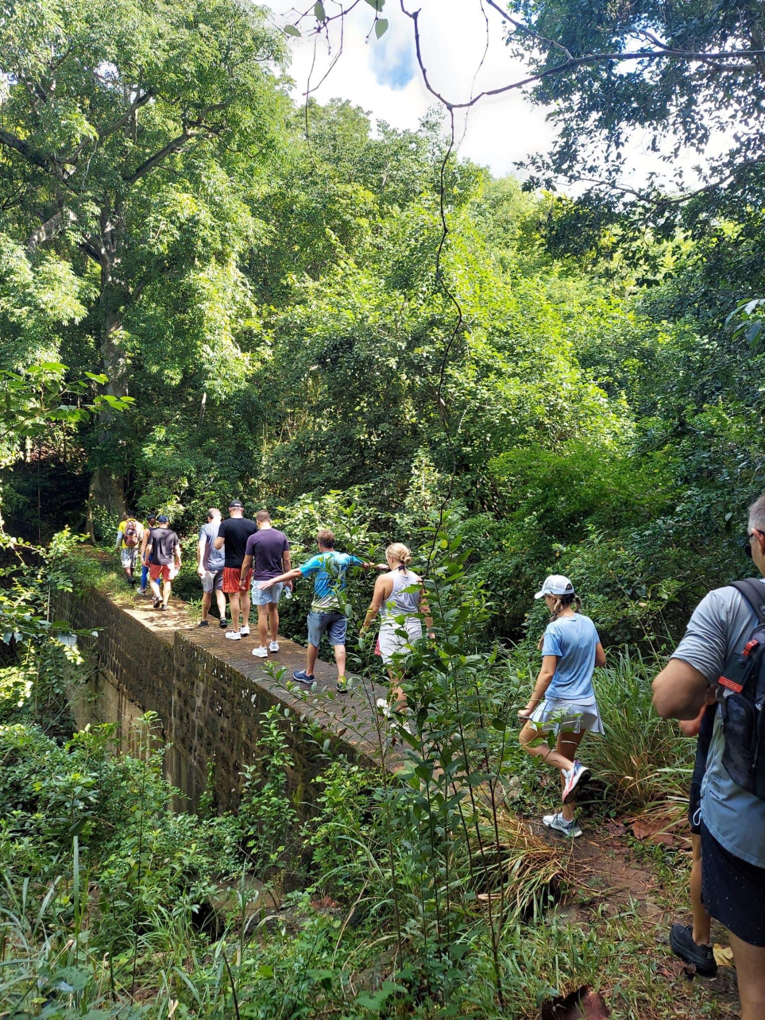 Calendar - Island Buzz Tours Nevis