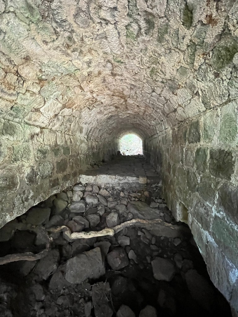 Bush Hill Estate Hike/Walk - ISLAND BUZZ TOURS NEVIS hike, tours ...
