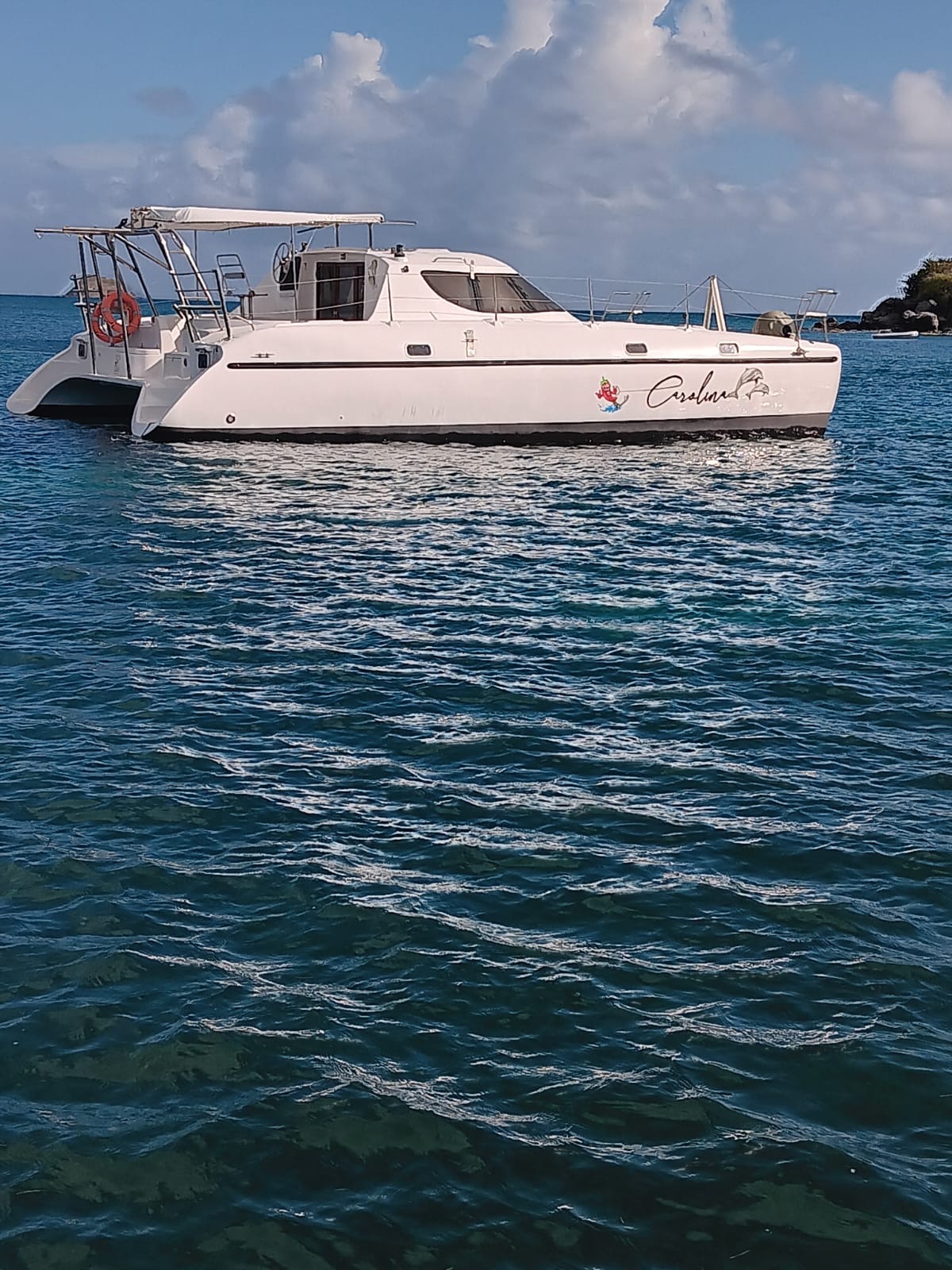 Chillies Charters - ISLAND BUZZ TOURS NEVIS hike, tours, excursions ...